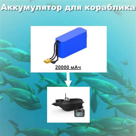 Прикормочный кораблик купить на Ozon по низкой цене 1943738957