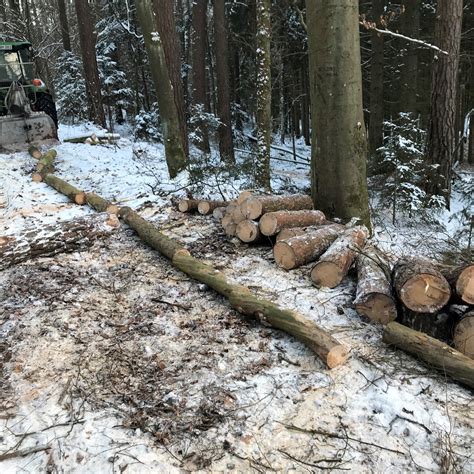 Holzarbeit Im Hochwinter Alfred Mösenburger