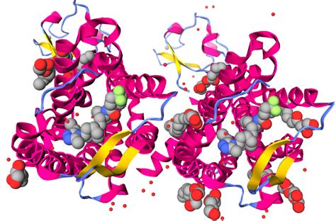 Ccr5 Chemokine Receptor Hiv Entry Inhibitor Maraviroc Complex 17 Pdb Download Scientific