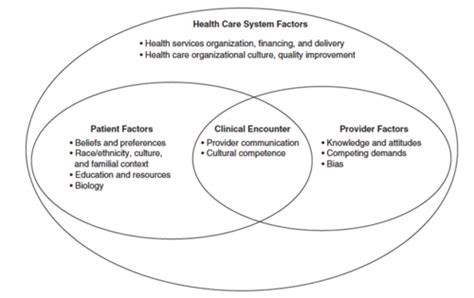 Exam 1 Notes Lecture And Supplemental Notes Flashcards Quizlet