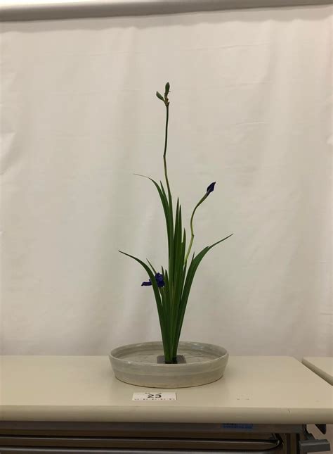 龍生派両毛支部 10月の研究会の優秀作品🌿 お生花は研究会では初めてかきつばたの秋いけを生けました。 Facebook