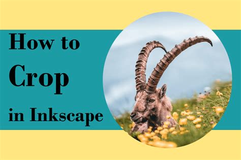How To Crop In Inkscape Step By Step