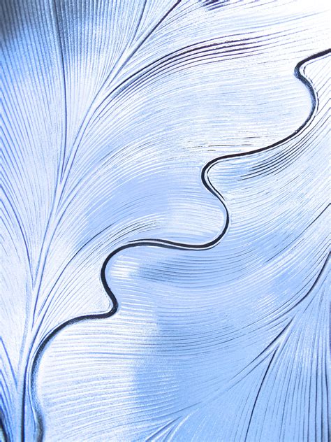 무료 이미지 비행 잎 웨이브 무늬 선 푸른 자료 배경 스케치 그림 삽화 결정 구조 유리 패턴 3888x5184 1080351 무료 이미지