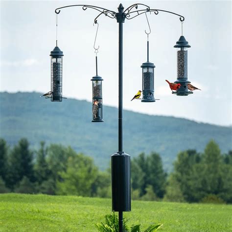 7 Simple Ways To Keep Pesky Raccoons Out Of Your Bird Feeders For Good