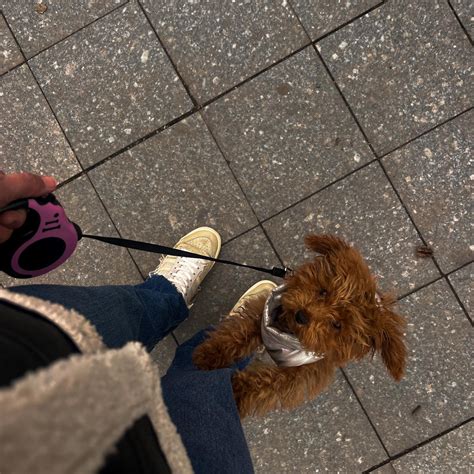 მე ზამთარშიც ვსვამ😀💛💛და თქვენ როდის იწყებთ სეზონს Coffeetime ვირტუალური სიმყუდროვე