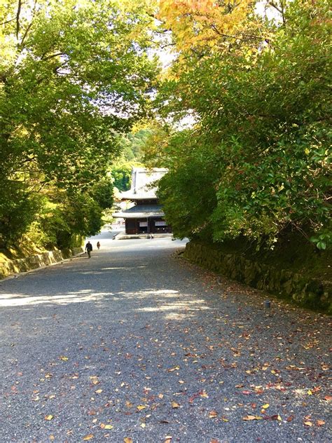 京都御寺 泉桶寺 素敵な時間を追いかけて美しく咲く花々やカフェやランチ