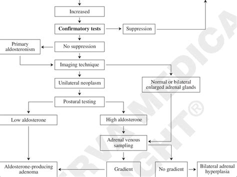 Algorithm For Differential Diagnosis Between Primary Download