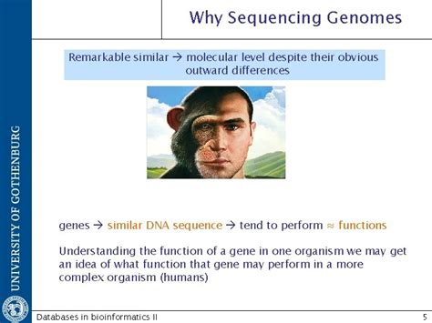 BIOINFORMATICS AND SYSTEMS BIOLOGY MSC PROGR Sequence Analysis