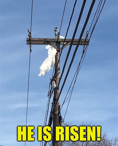 Memes Del Pole