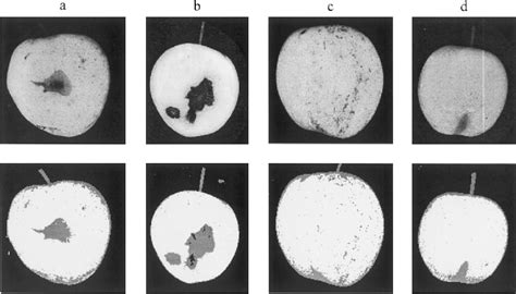 Figure 1 From Defects Segmentation On Golden Delicious Apples By
