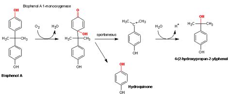 Eawag Bbd Reaction Reacid R1724