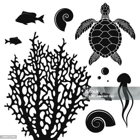 바다 생물 실루엣 고립 된 해파리 바다 거북 산호 껍질 와 물고기 통하고 있는 하얀 배경 추상 암초 벡터 거북이에 대한 스톡 벡터 아트 및 기타 이미지 Istock