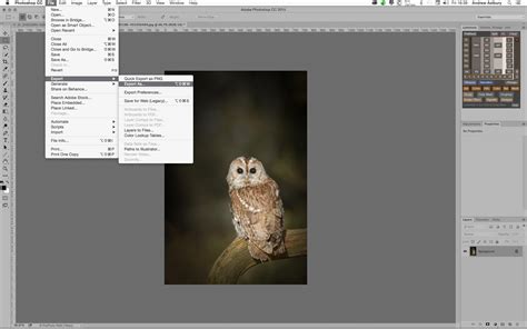 Meta Data Exif And Iptc Data And Photoshop Andy Astburys Photography Blogandy Astburys