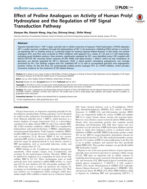 Pdf Effect Of Proline Analogues On Activity Of Human Prolyl Hydroxylase And The Regulation Of