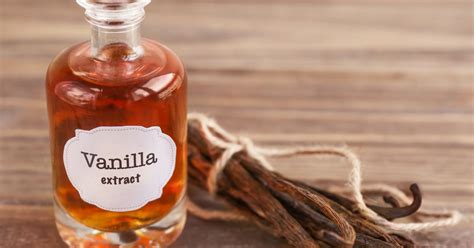 Vanilla Extract • The Wicked Noodle