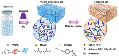 浙工大杨晋涛 郑司雨团队 Macromolecules：基于铁盐强化两性离子水凝胶 中国聚合物网科教新闻