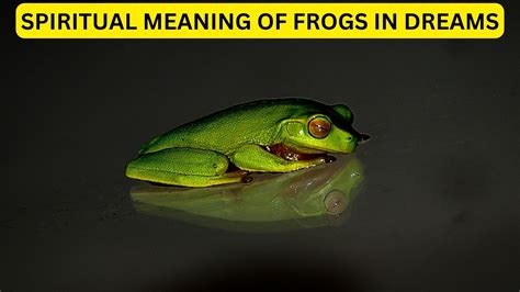 What Is The Spiritual Meaning Of Frogs In Dreams