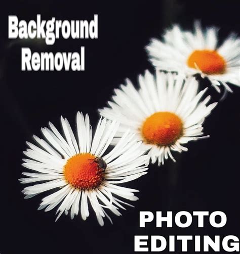 Do Removing Background Images By Jenn05 Fiverr