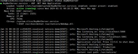 Ubuntu Сервер не отображает веб страницу Aspnet Core Stack Overflow на русском