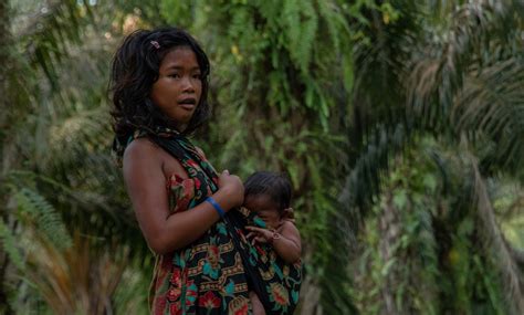 Melihat Laku Orang Rimba Penjaga Hutan Nusantara Pugur