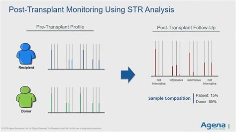 Chimerism Made Easy How Agenas Chimeric Id Panel Simplifies Traditional Str Based Testing