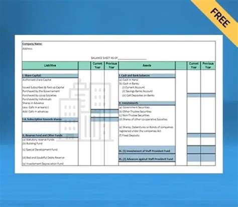 Cooperative Society Balance Sheet Format Free Download