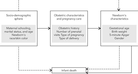 Hierarchical Conceptual Model For Determinant Factors Of Infant