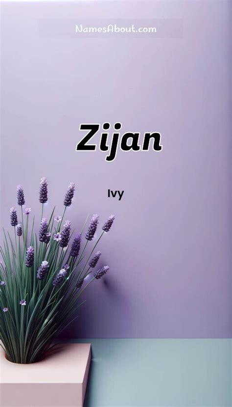 Zijan Name Meaning And Origins Nicknames Sibling Ideas
