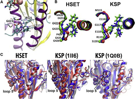 Computational Energy Minimization And Relaxation Of Hset And Ksp A Download Scientific