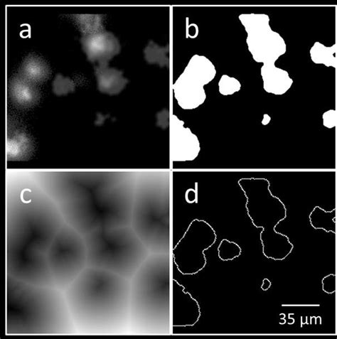 Seeker 20 Algorithm Processing Steps Are Shown Including The Input