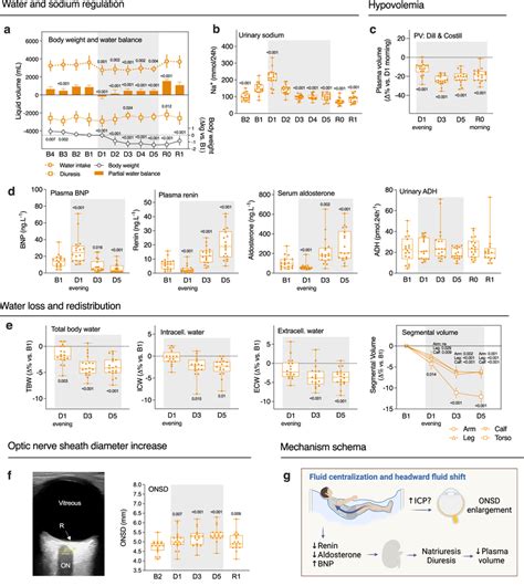 The Thoraco Cephalic Fluid Shift Rapidly Induces Hypovolemia Water