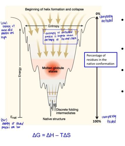 Intrinsically Disordered Proteins Flashcards Quizlet