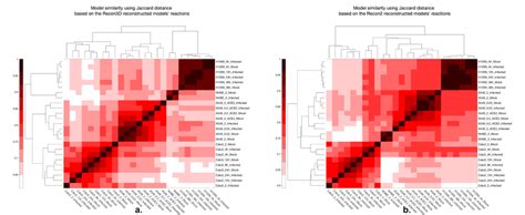 Fig S3 Clustergrams Of The Reconstructed Models Similarity Using
