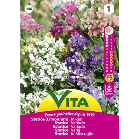 Semilla De Statice Snuata Variada Al Mejor Precio 2026