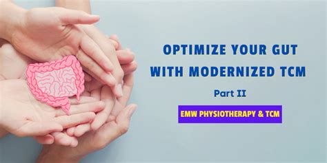 How To Optimize Your Gut Health A Modernized Tcm Approach Part Ii Emw Physiotherapy And Tcm