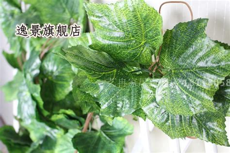 仿真特大葡萄叶假花吊顶水果藤条装饰塑料空调管道下水道壁挂藤蔓 虎窝淘