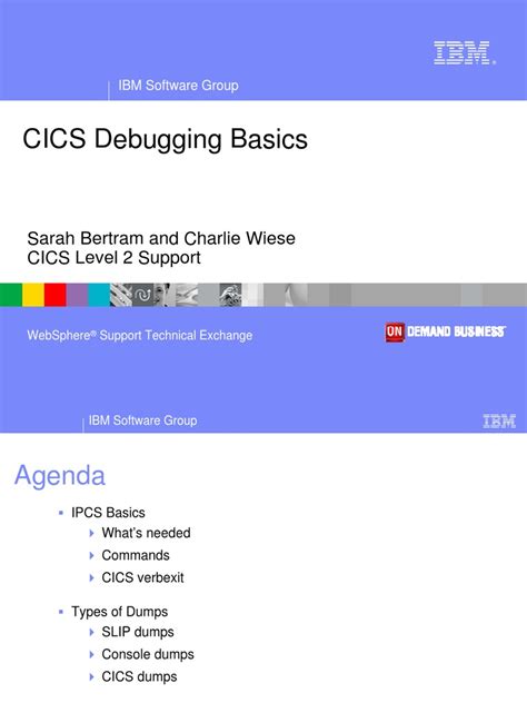 Cics Debugging Basics Pdf Domain Name Instruction Set
