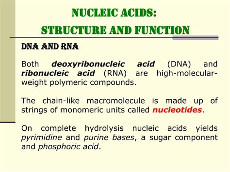 PPT NUCLEIC ACIDS STRUCTURE And FUNCTION PowerPoint Presentation ID 460439