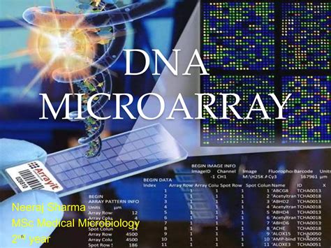 Dna Microarray Introdution And Application Ppt