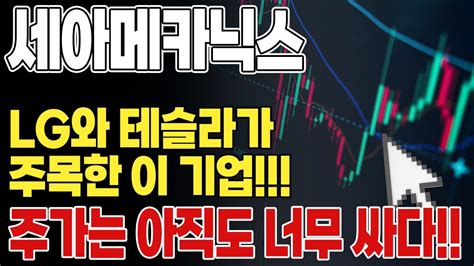 세아메카닉스 주가전망 Lg와 테슬라가 주목한 이 기업 주가는 아직 너무 싸다 세아메카닉스 세아메카닉스주가 세아메카닉스주가전망 Youtube