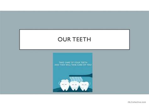 Our Teeth And How To Protect Our Tee English Esl Powerpoints