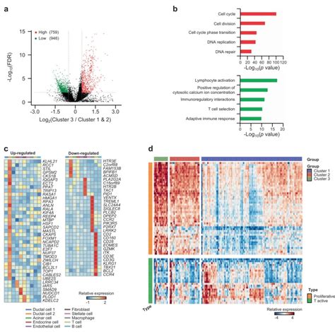 文献解读｜单细胞rna Seq揭示胰腺导管腺癌的肿瘤内异质性和恶性进展 哔哩哔哩