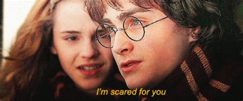 Harry Potter Hermione S