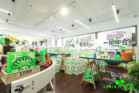 LEDIN乐町 X 超级植物公司合作系列POP UP
