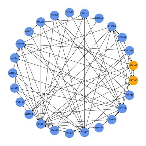GitHub Hanya Ahmad Ppi Network Analysis