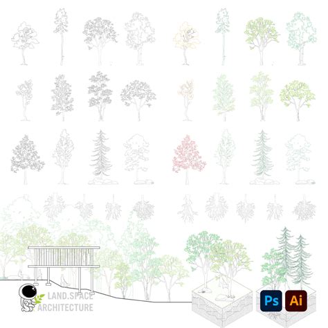 Tree Landscape Architecture Plan And Elevation Sketches Cad Blocks