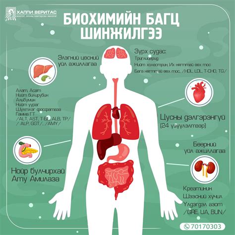 БИОХИМИЙН БАГЦ ШИНЖИЛГЭЭ 👩‍🔬ЭЛЭГ ЦӨСНИЙ ҮЙЛ АЖИЛЛАГАА Ast АСАТ Alt