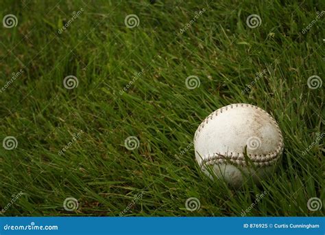 Softball In Grass Stock Image Image Of Recreation Exercise 876925