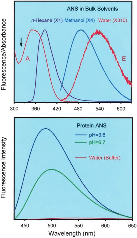 Upper Normalized Steady State Fluorescence Spectra Of Ans In Three