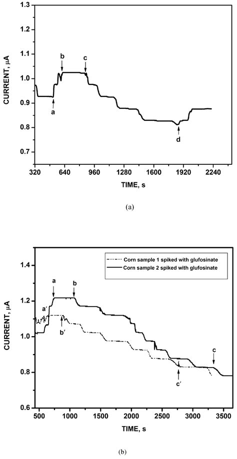 A Amperometric Response Of The Biosensor To Successive Injections Of Download Scientific